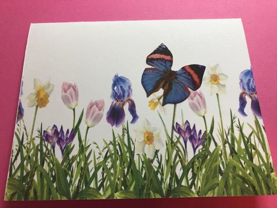 Bundle of 10 Floral, Butterfly Note Cards - Etsy