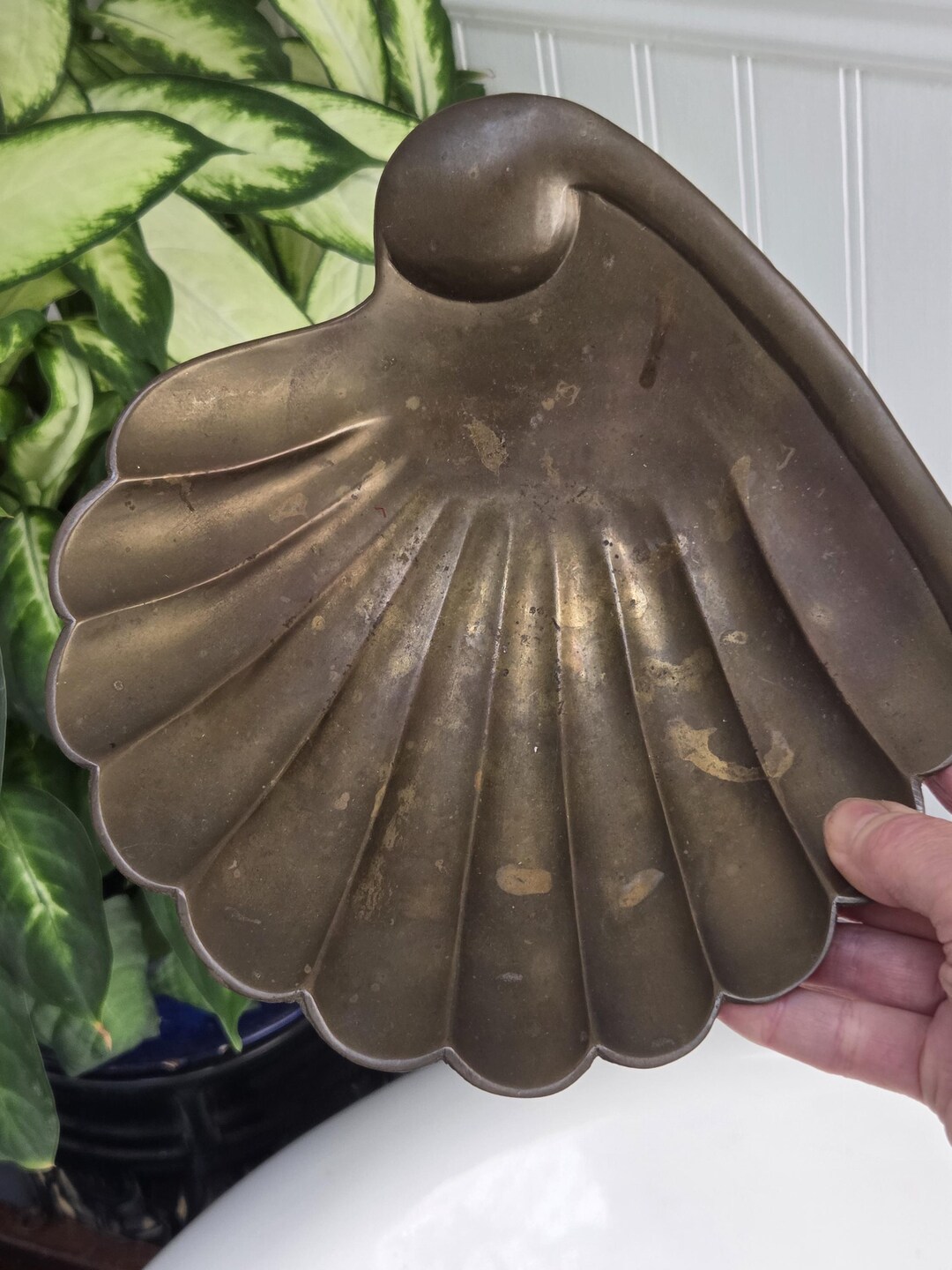 Vintage Brass Footed Clamshell Dish for Trinkets - Etsy