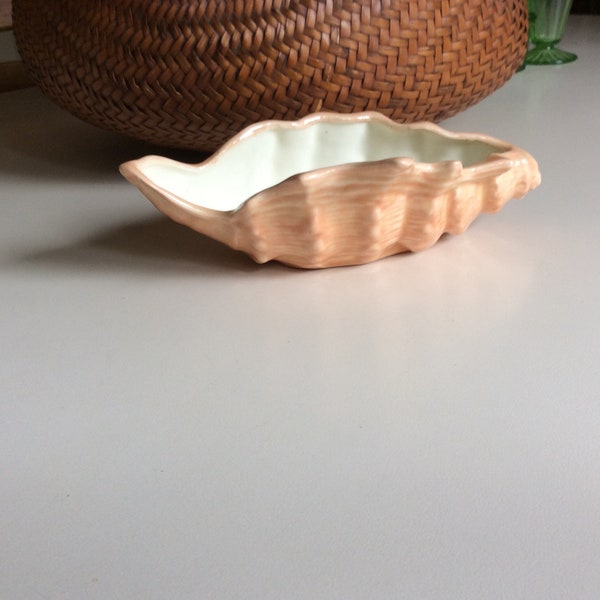 Seashell Pottery - Etsy