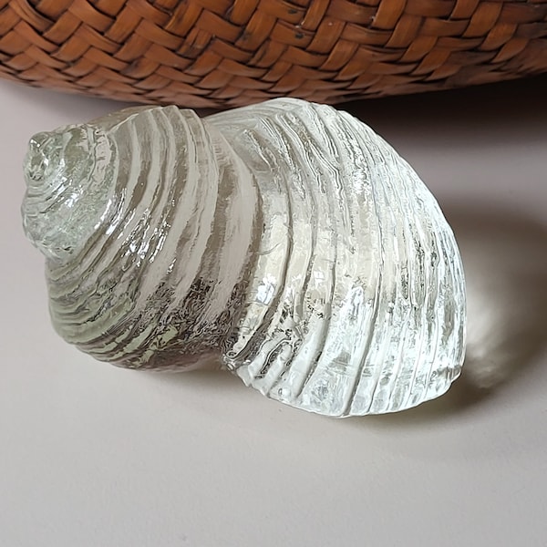 Glass Shell Paperweight - Etsy
