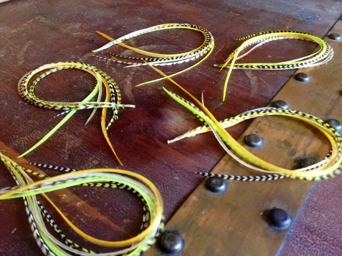 Hair Feather Extensions Summer Sunshine 6 Feather Blend - Etsy