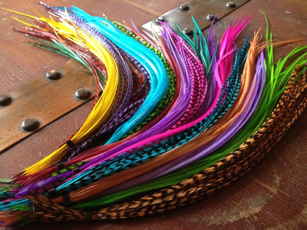 25 Pcs Hair Feather Extensions Natural Grizzly and Colorful Dyed Salon ...