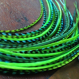 Feather Hair Extensions Neon Bright Green Grizzly Turquoise 6 Long Hair ...