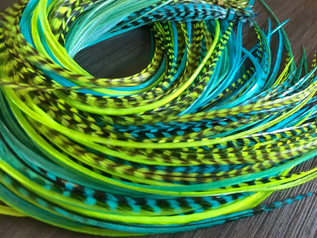 Turquoise/bright Lime/green Feather Extensions Long Hair Feathers, Soft ...