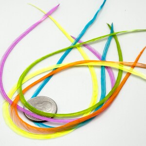 Neon Feather Hair Extensions Long Crimp in Hair Feathers for Feather ...