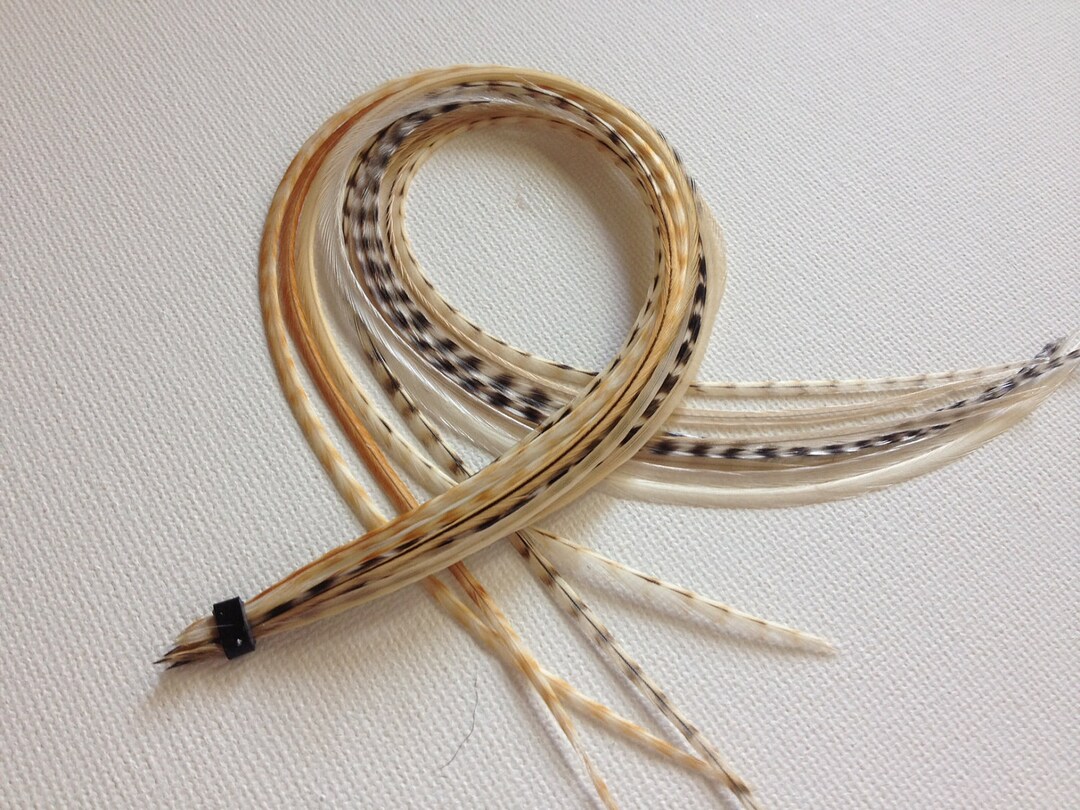 Blonde Cream Hair Feathers Extensions Gypsy Ginger Barred Feather ...