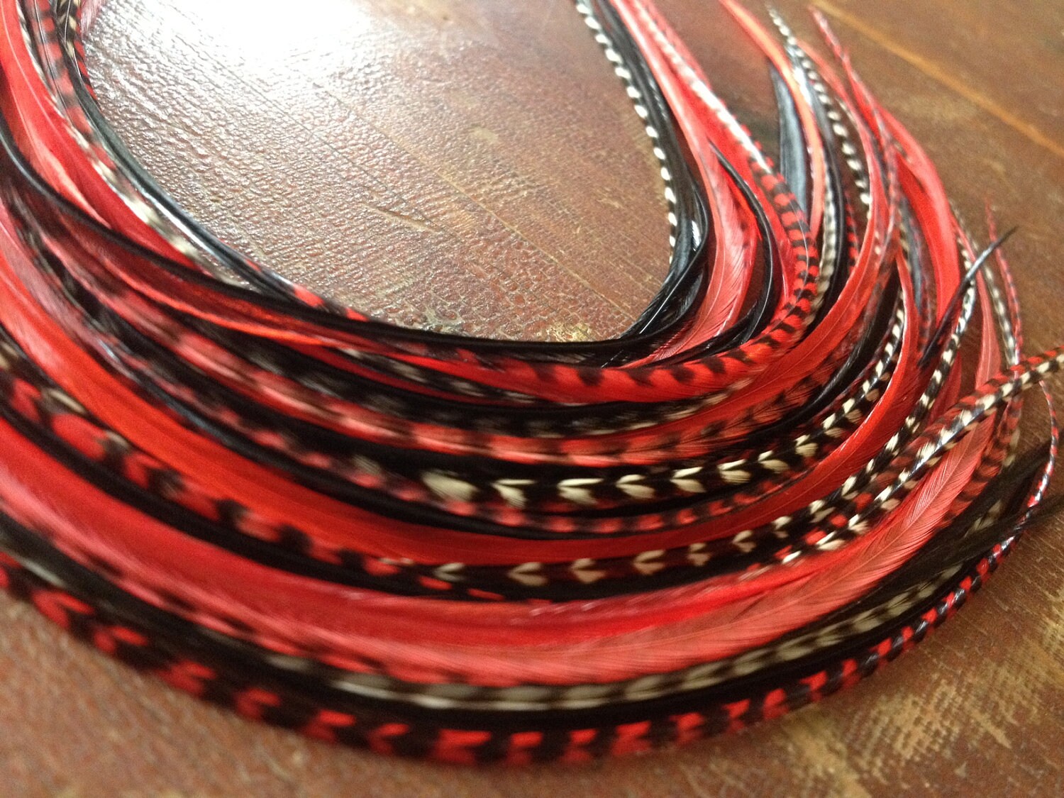 Red and Black 5 Feather Falls Crimp in Feather Hair Accessories Red ...