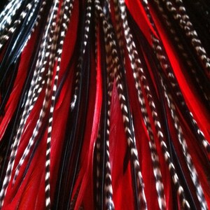 Red and Black 5 Feather Falls Crimp in Feather Hair Accessories Red ...