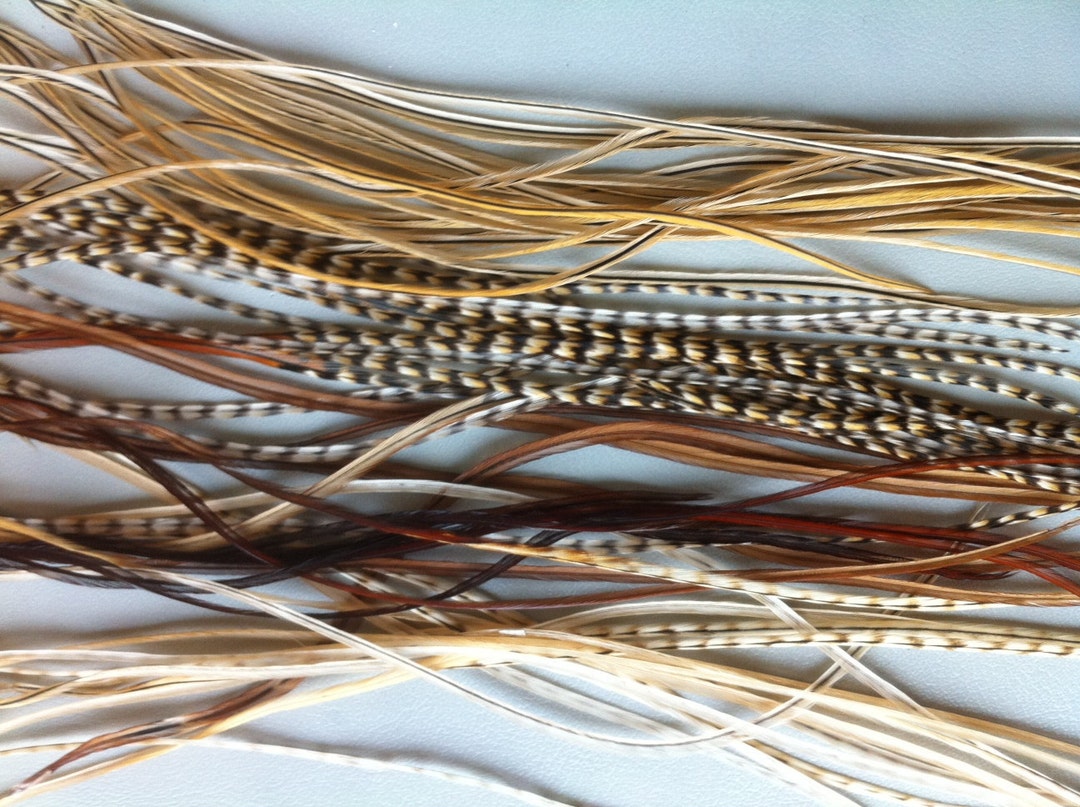 Bonded Hair Feathers MEDIUM Extension Feathers Rare Cree Natural Mix 2 ...