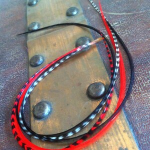 Red and Black 5 Feather Falls Crimp in Feather Hair Accessories Red ...