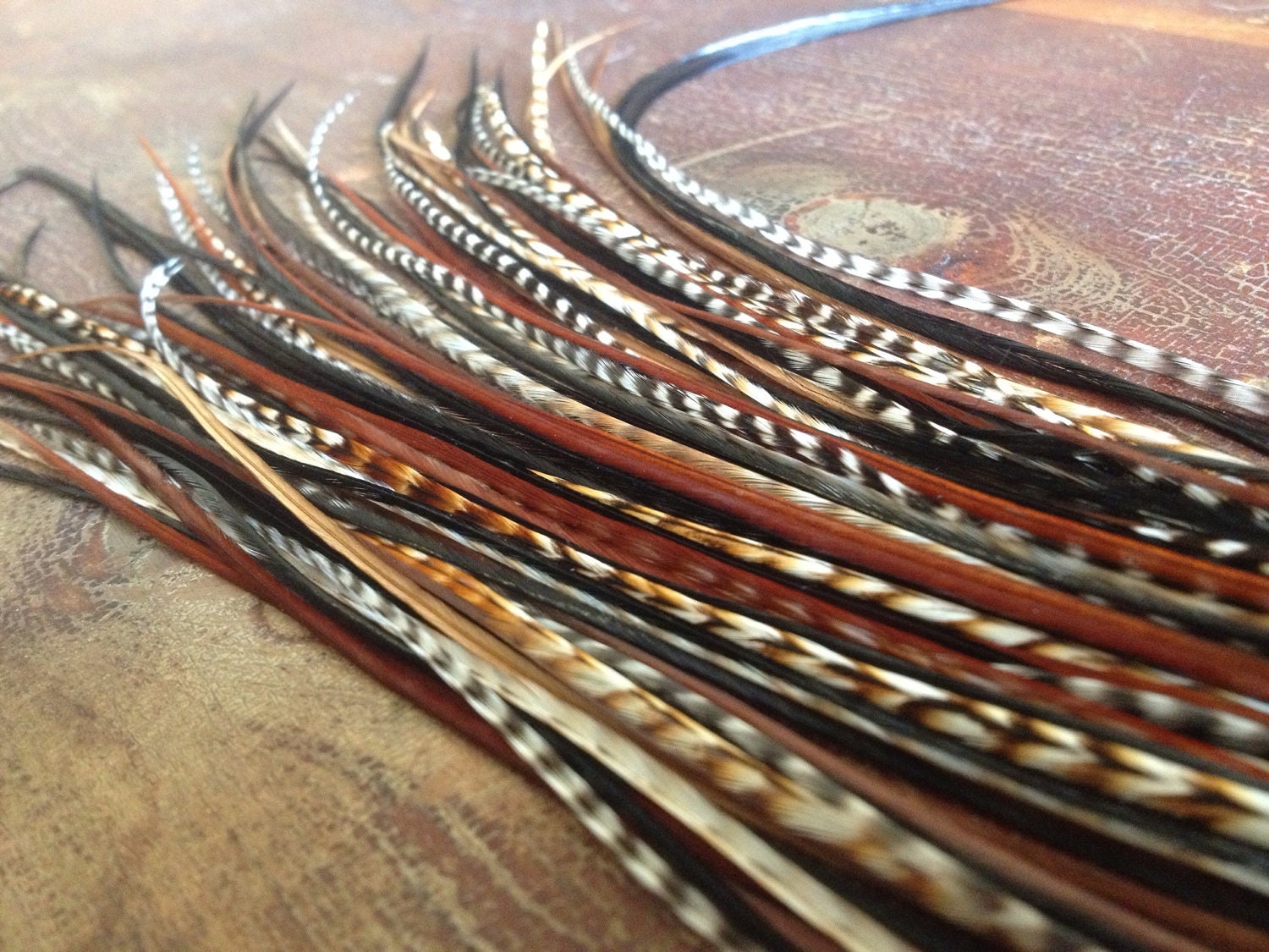 Feather Extensions Black and Brown Grizzly Cree Mix Extra Long | Etsy