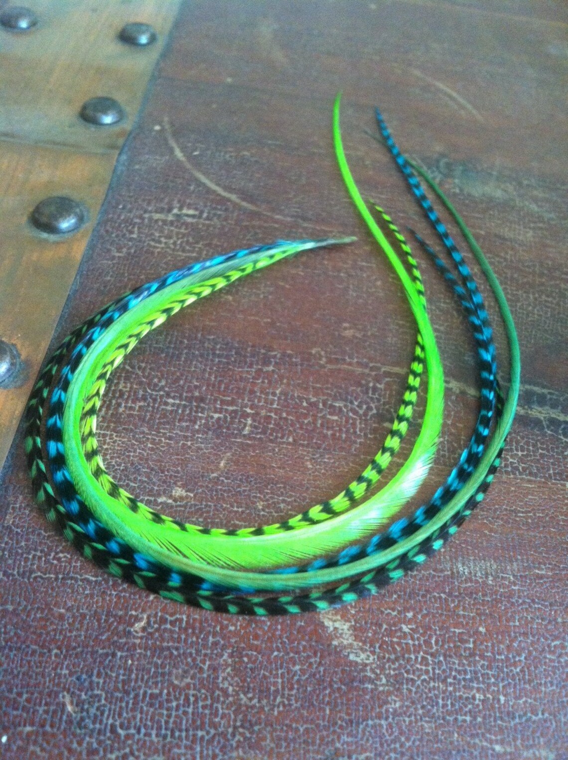 Feather Extensions Neon Green Blue Turquoise Grizzly Bright - Etsy
