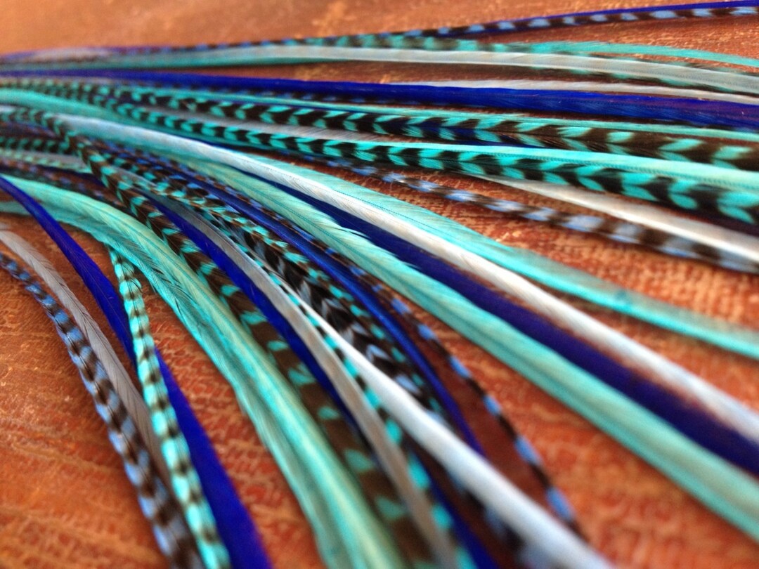 Blue Feather Extensions, Frozen Birthday Hair Feathers LOOSE Feather ...