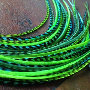Feather Extensions Neon Green Blue Turquoise Grizzly Bright Bonded Hair ...