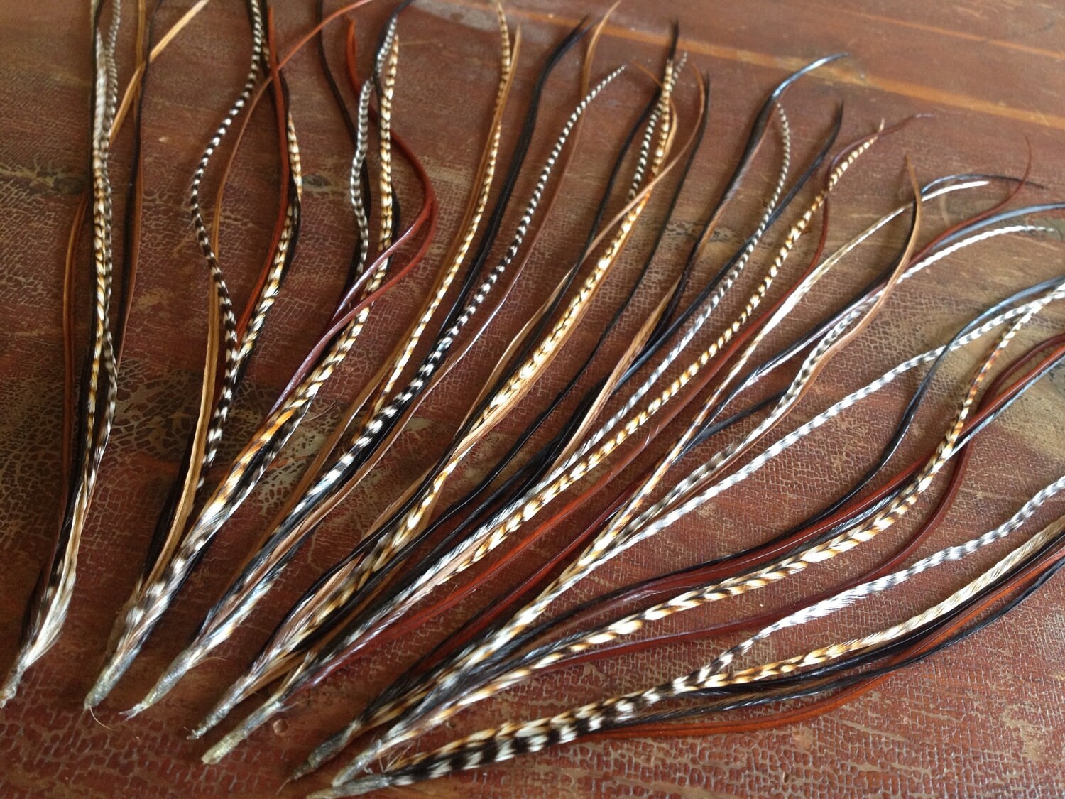 Feather Extensions Black and Brown Grizzly Cree Mix Extra Long | Etsy