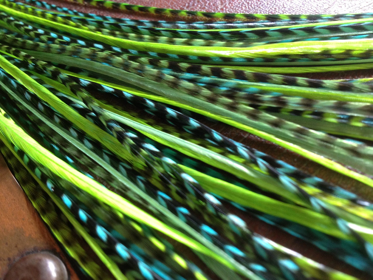 Feather Hair Extensions Neon Bright Green Grizzly Turquoise 6 Long Hair ...