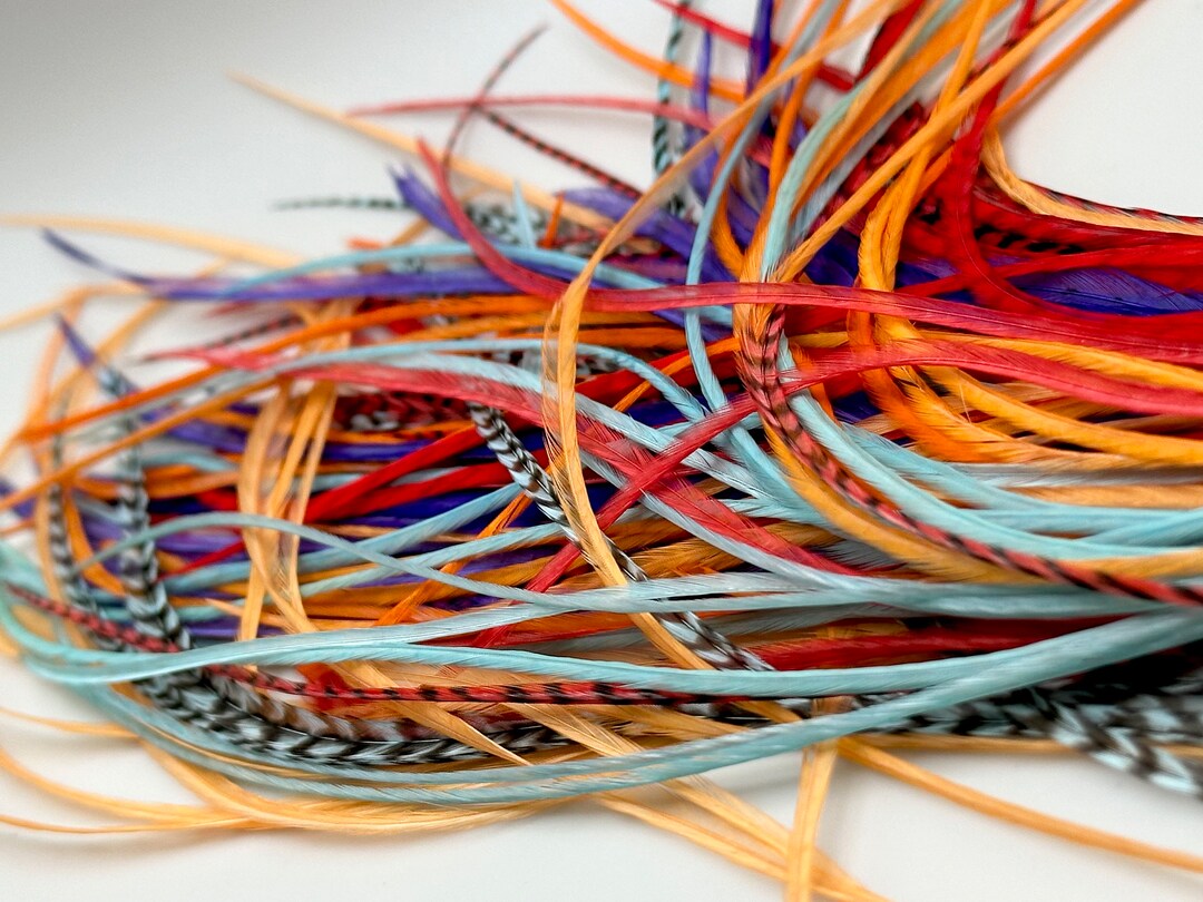 Pop of Fun Hair Feather Extensions Orange, Red, Purple, Blue Skinny ...