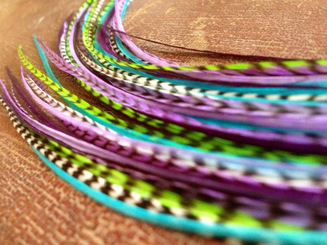 Feather Extensions Long Grizzly Feather Hair Extensions Purple, Green ...