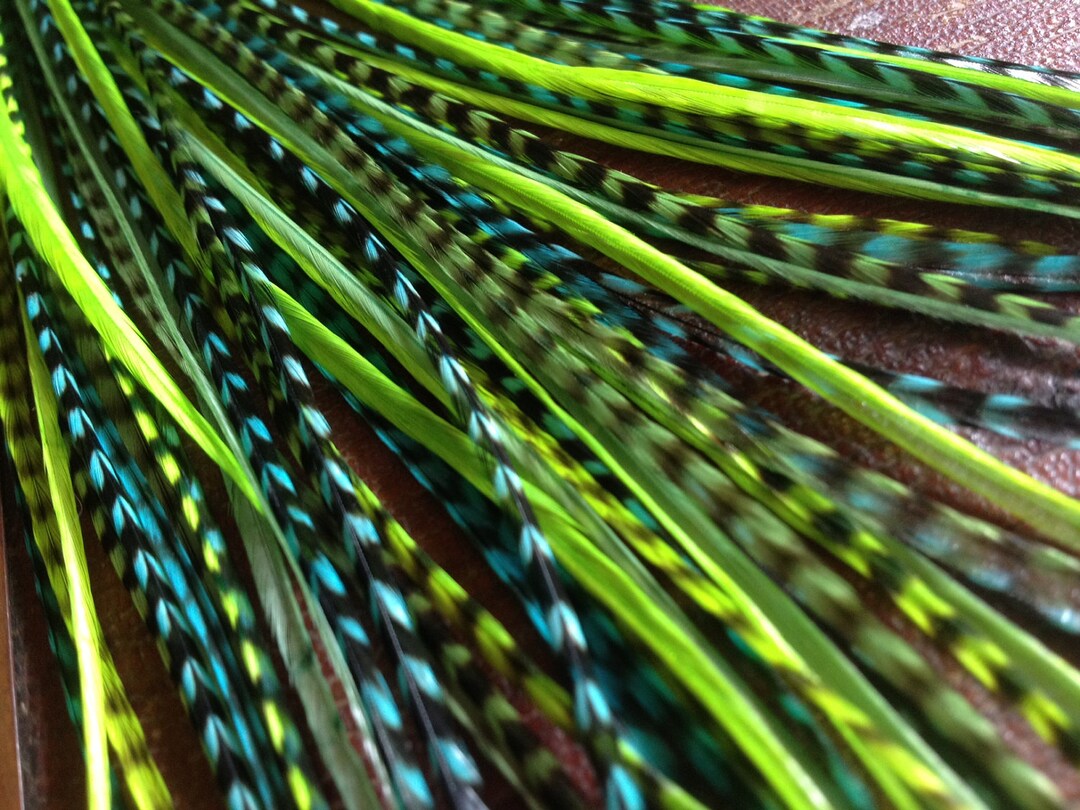 Feather Hair Extensions Neon Bright Green Grizzly Turquoise 6 Long Hair ...