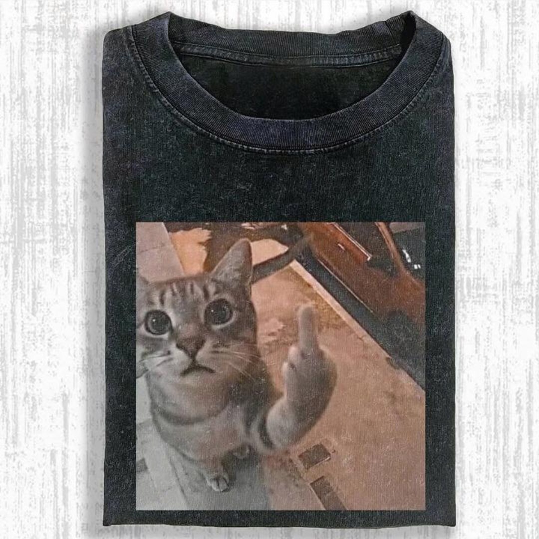 Vintage Wash Rude Cat Meme Shirt, Savage Cat Reaction Shirt, Gen Z ...