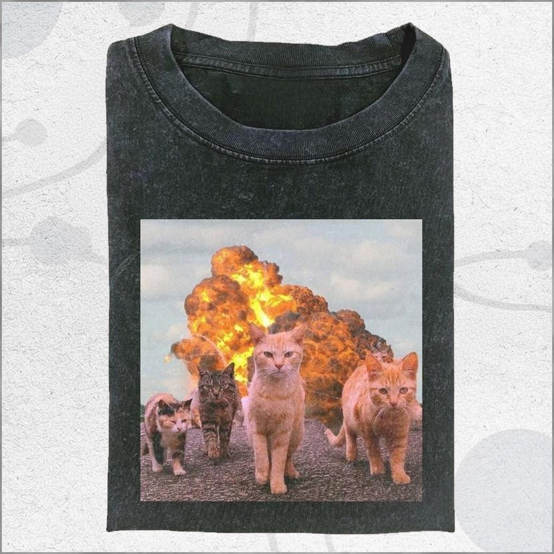 Vintage Wash Funny Explosion Cat Meme Shirt, Gen Z Brainrot Gift, Retro ...