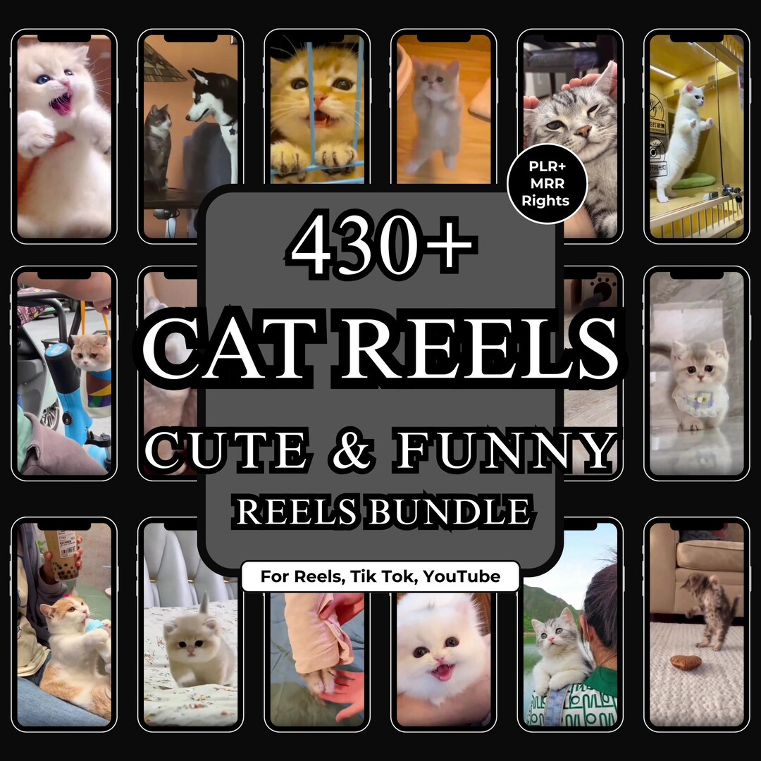 430 Funny Cat Reels Bundle, Viral Tiktok Instagram Content (digital ...