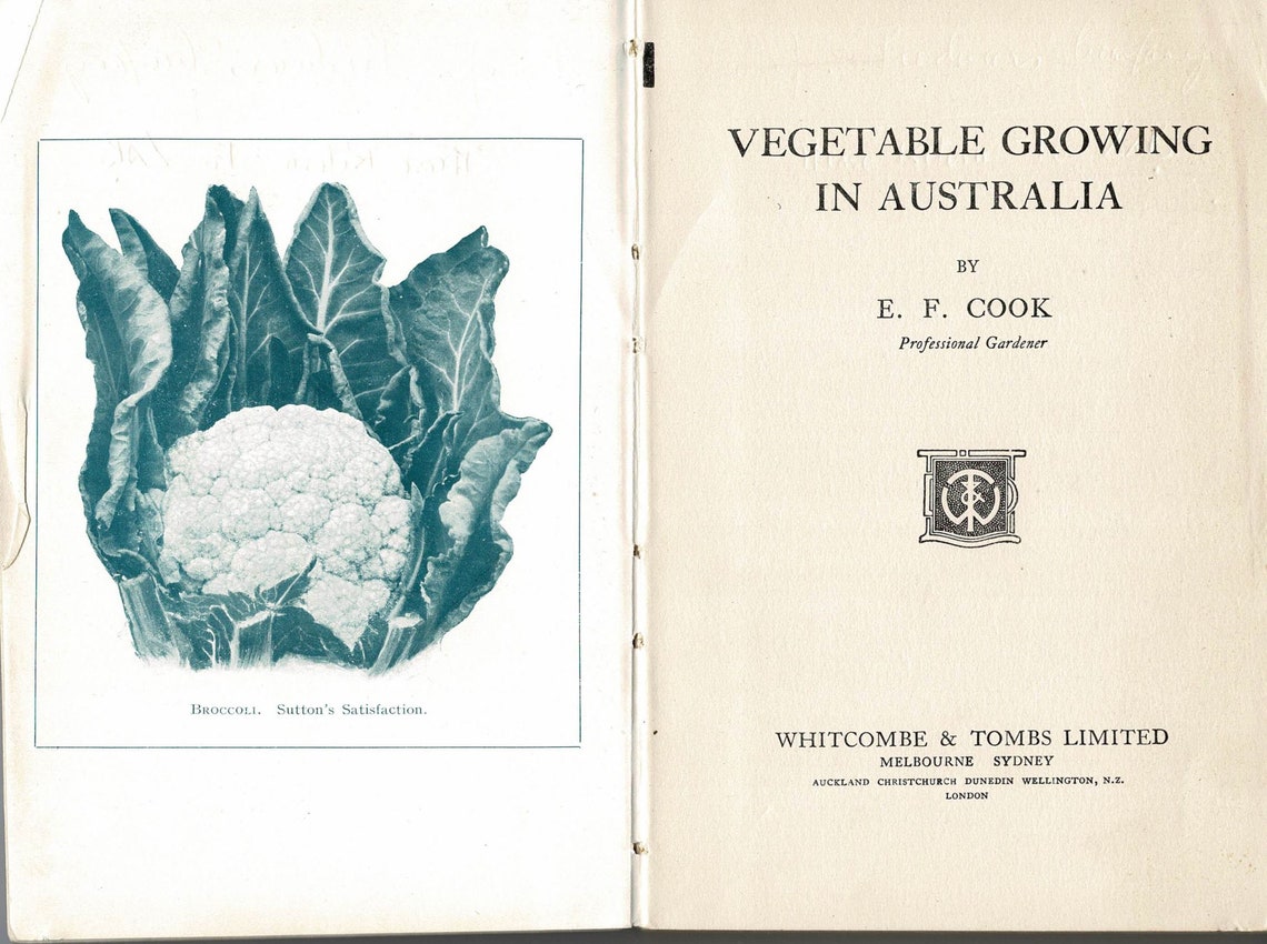 Antique Vintage Vegetable Growing in Australia Whitcombe's C. 1940s ...