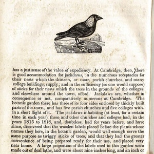 Antique Natural History of Seasons Youth's Year Child Book Historical ...