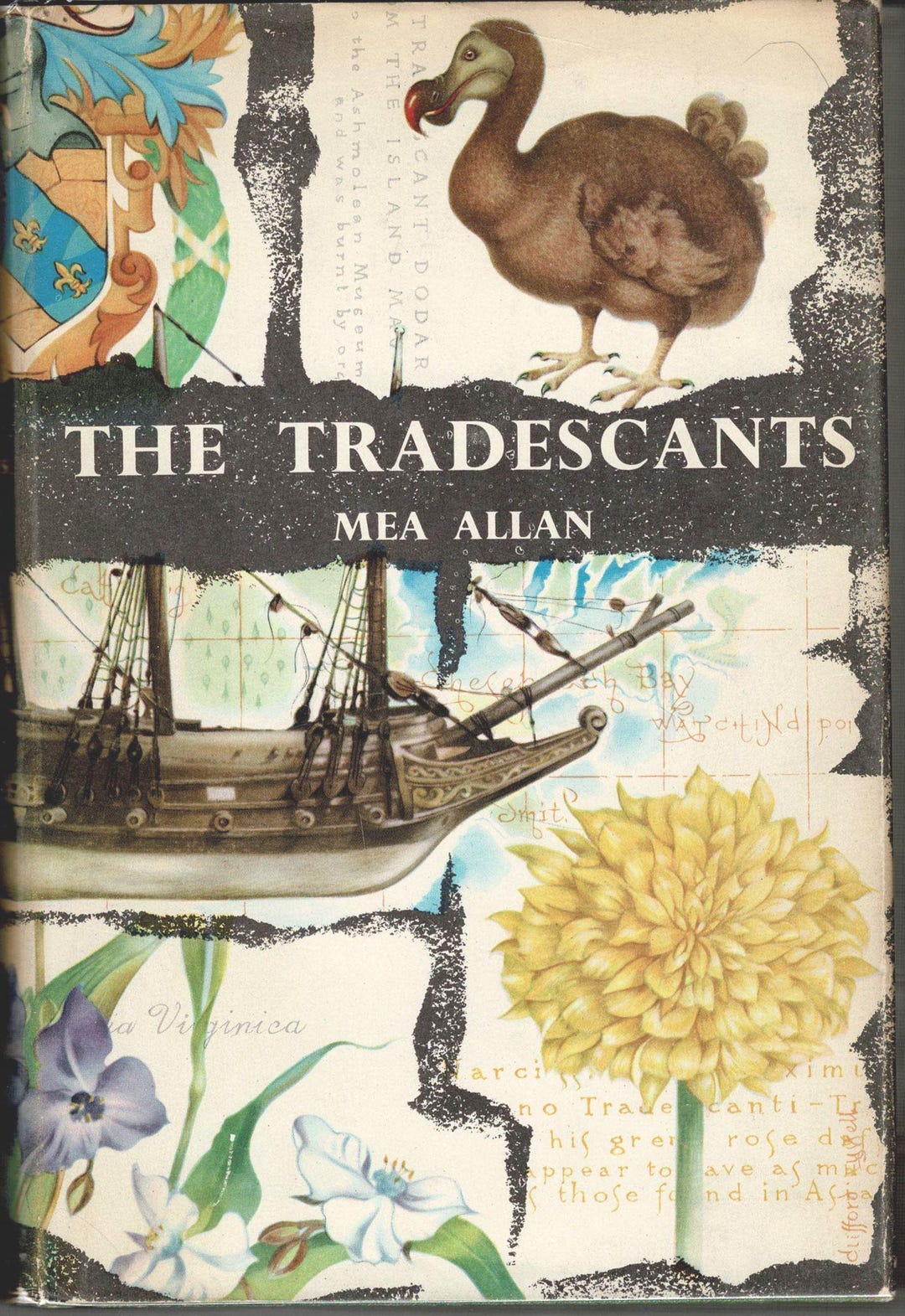 The Tradescants Plants, Gardens Museum 1570 – 1662 Book Mea Allan ...