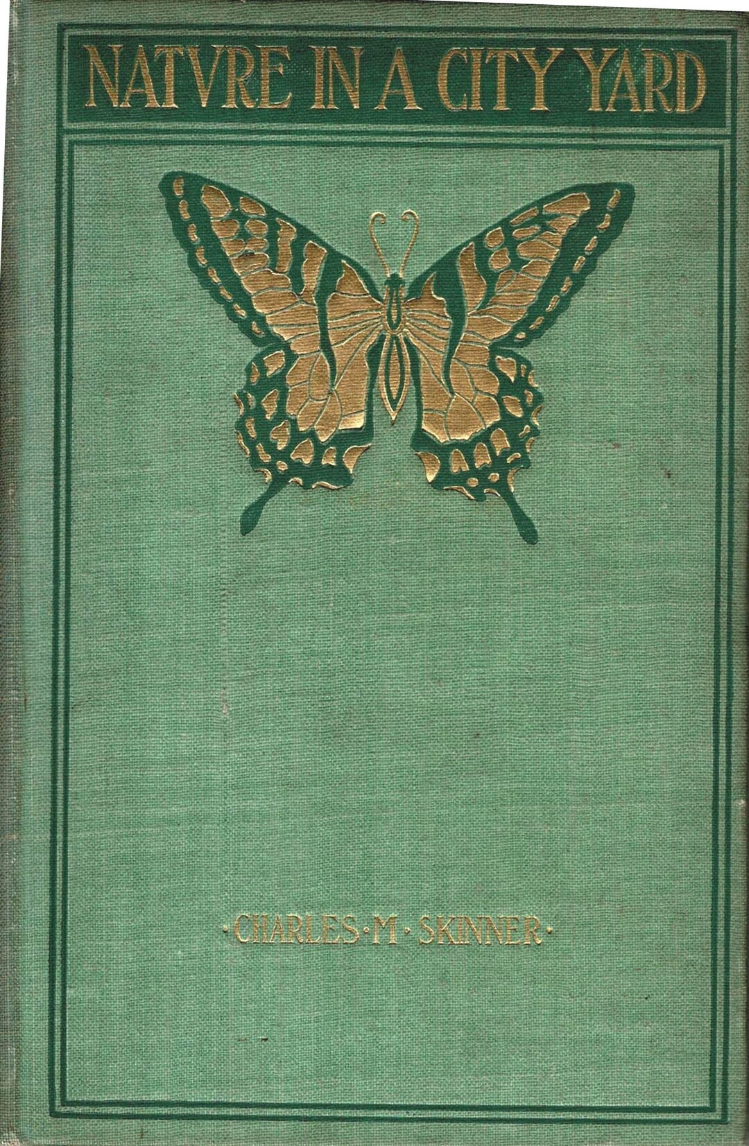 Antique Vintage Nature in A City Yard Book Charles Skinner - Etsy