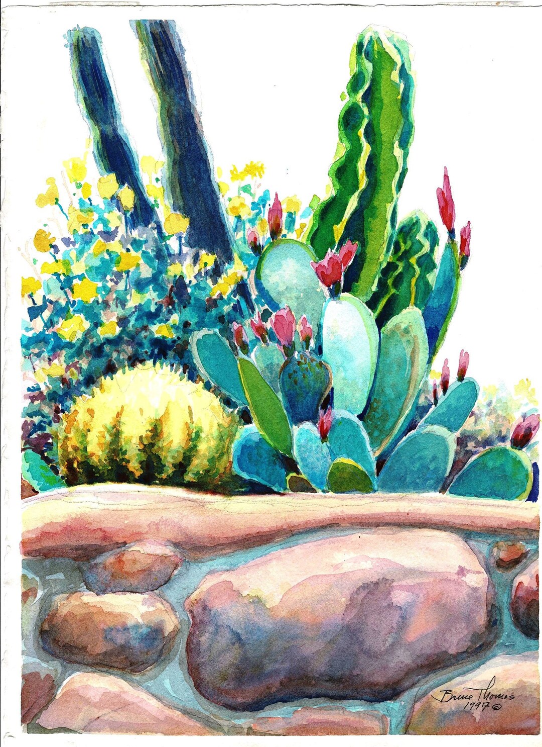 Vintage American Desert Plant Cactus Garden Landscape Watercolor ...