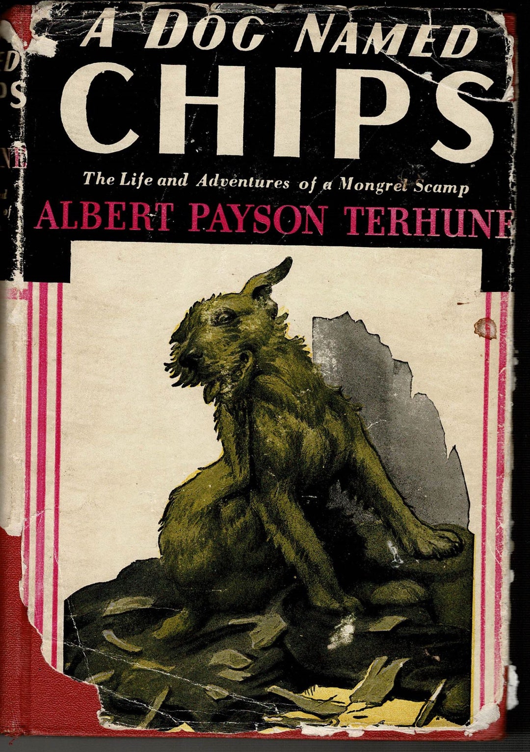 Antique Vintage Dog Named Chip's 1931 Terhune Mongrel Animal Canine - Etsy