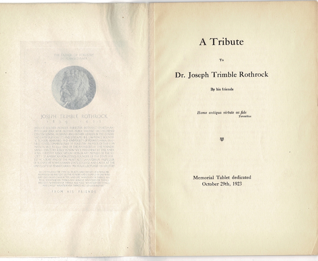 Antique A Tribute to Dr. Joseph Trimble Rothrock Memorial Tablet ...