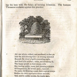 Antique Natural History of Seasons Youth's Year Child Book Historical ...