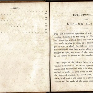 Antique Natural History of Seasons Youth's Year Child Book Historical ...