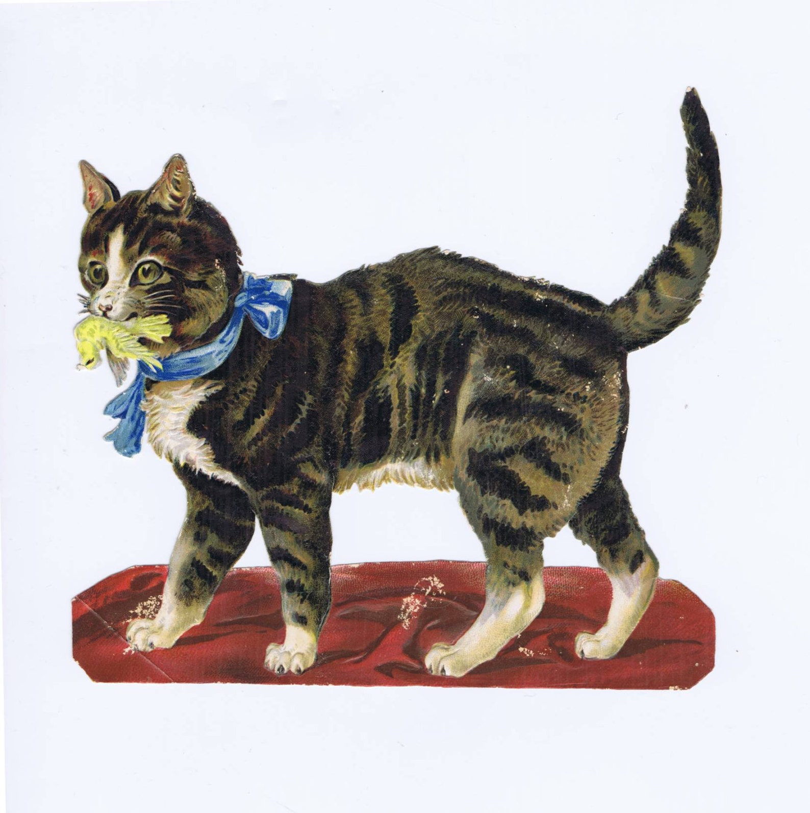 Large Cat Antique 19th Century Victorian Color - Etsy