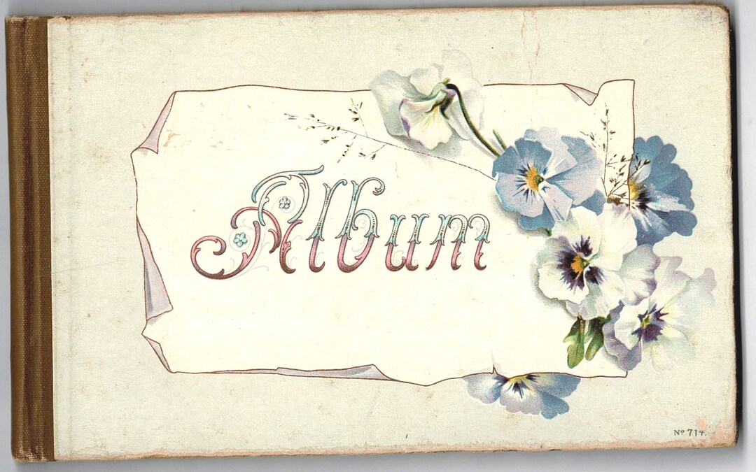 Antique American Friendship Autograph Album History Wheeling WV C ...