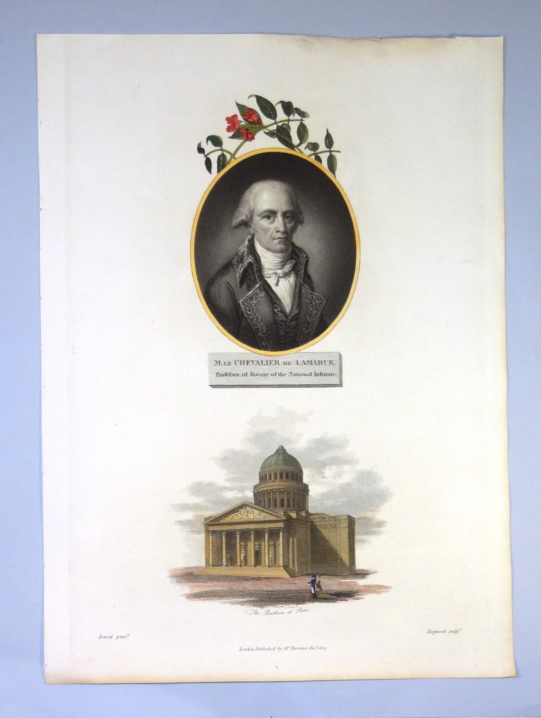 Antique M. Le Chevalier De Lamarck Large 19thc Hand Colored Engraving ...