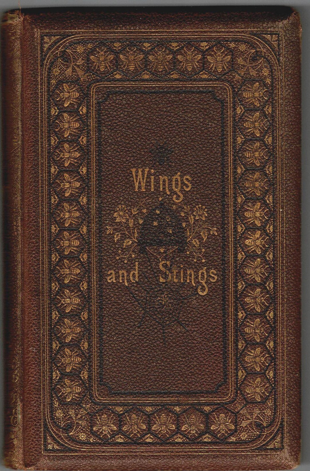 Antique Wings and Stings 19th Children's Book Natural History Writing ...