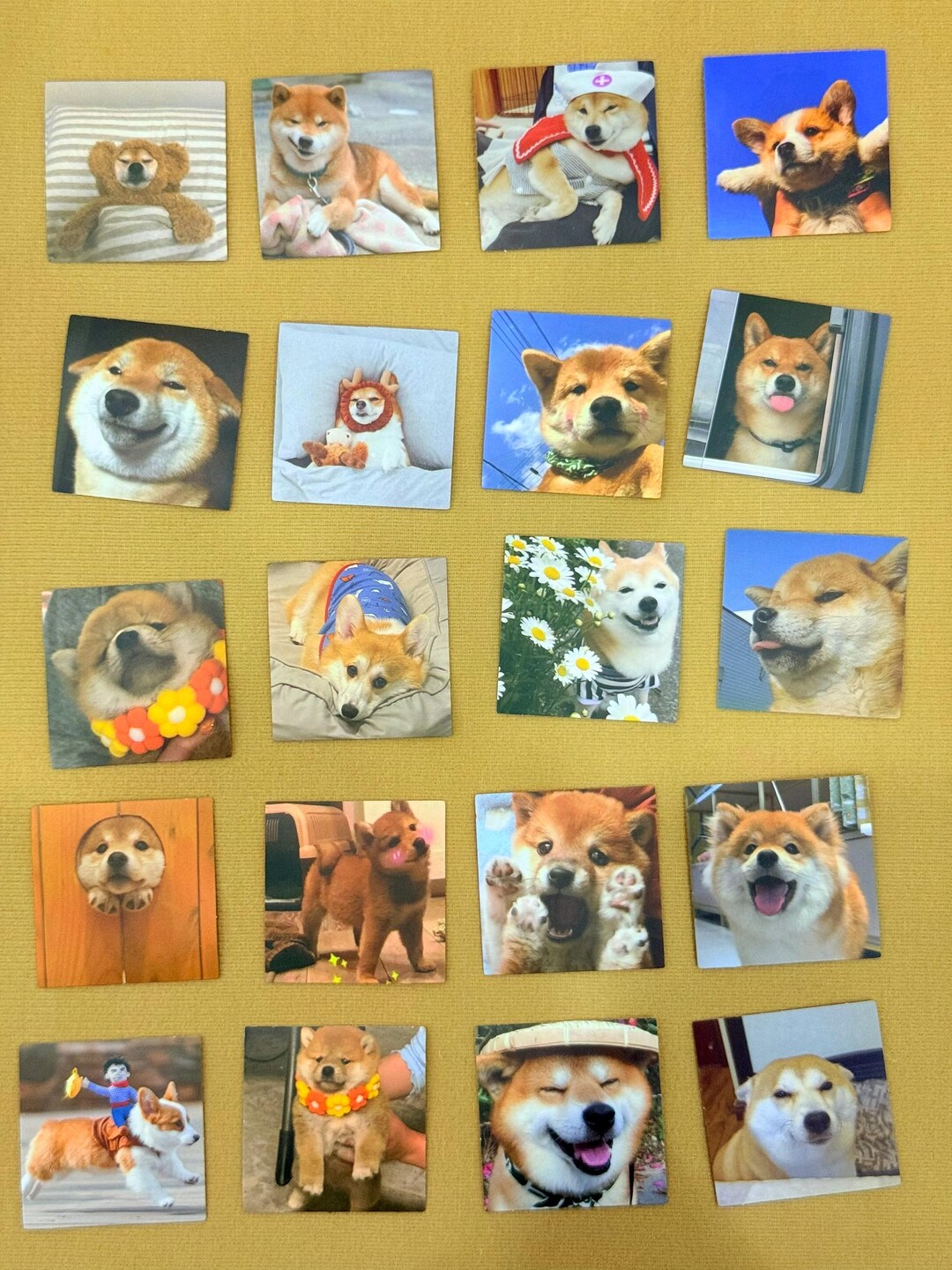 Funny Shiba Inu Stickers Pack – Cute Vinyl & Waterproof Laptop Stickers ...