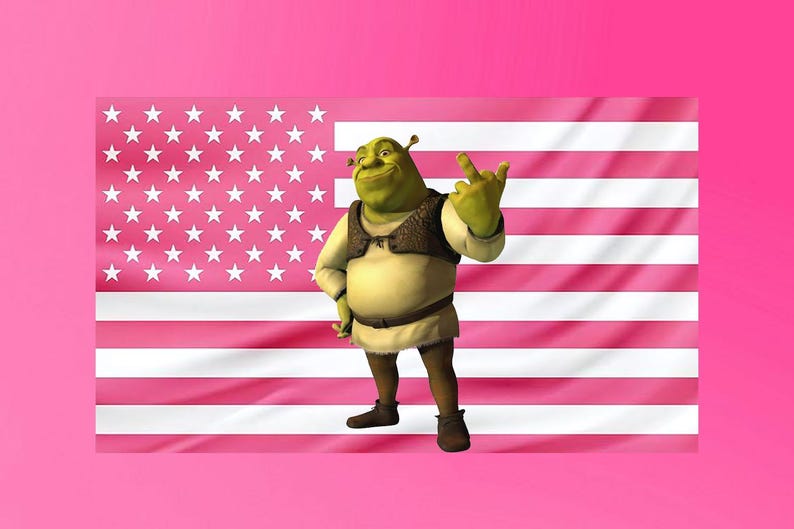 Shrek Meme Flag Tapestry | Funny Ogre Wall Hanging Banner | Cartoon ...