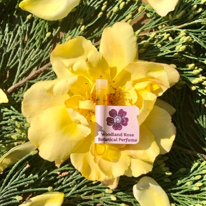 Woodland Rose Botanical Perfume A Forest of Fragrant Trees and Aromatic ...