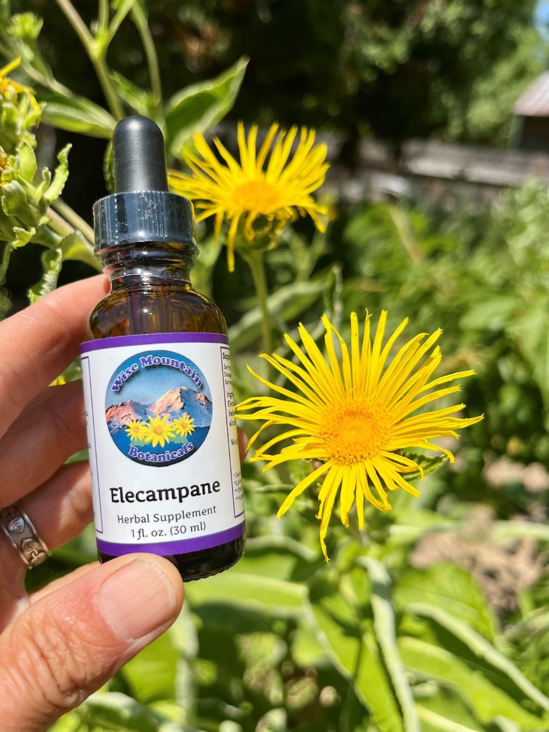 Elecampane Root Tincture (inula Helenium)- Fresh Plant Extract *grown ...