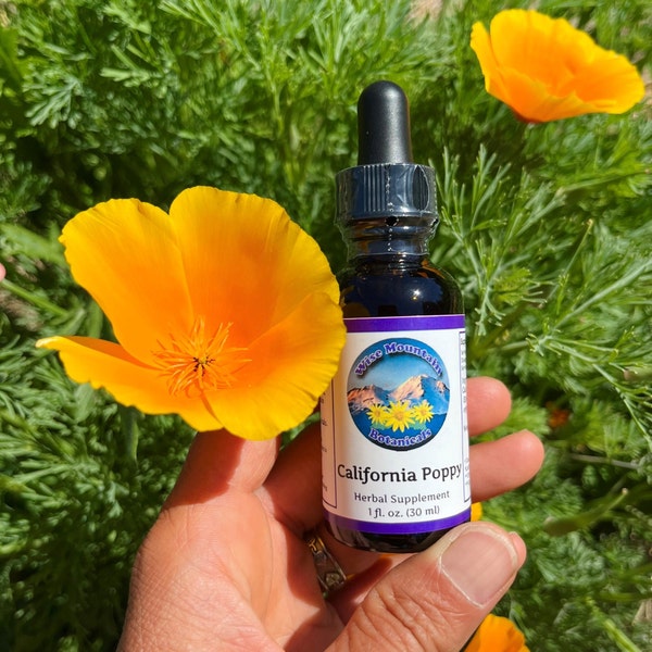 California Poppy - Etsy