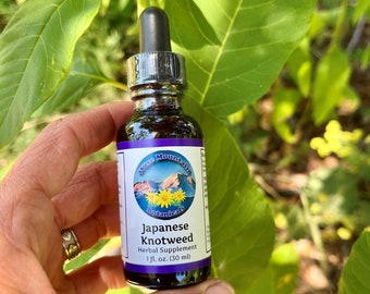 Japanese Knotweed/ Extract // Organic 1 Oz. - Etsy