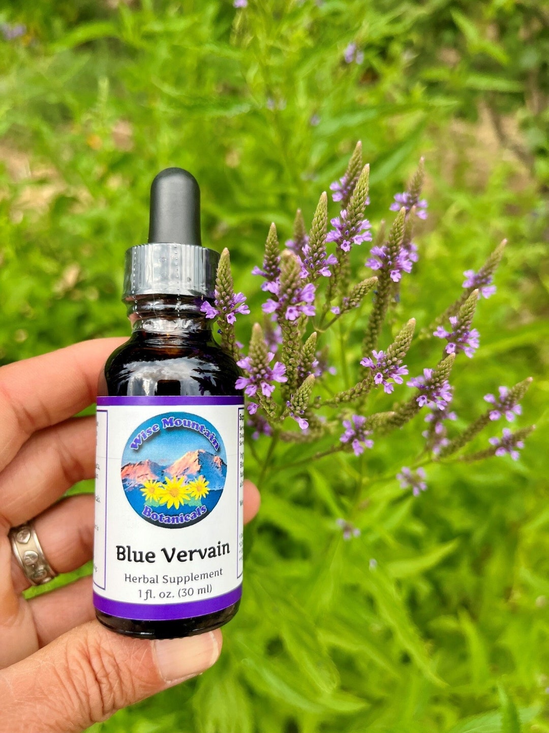 Blue Vervain Tincture – Fresh Verbena Hastata Extract, Micro Farm Grown ...