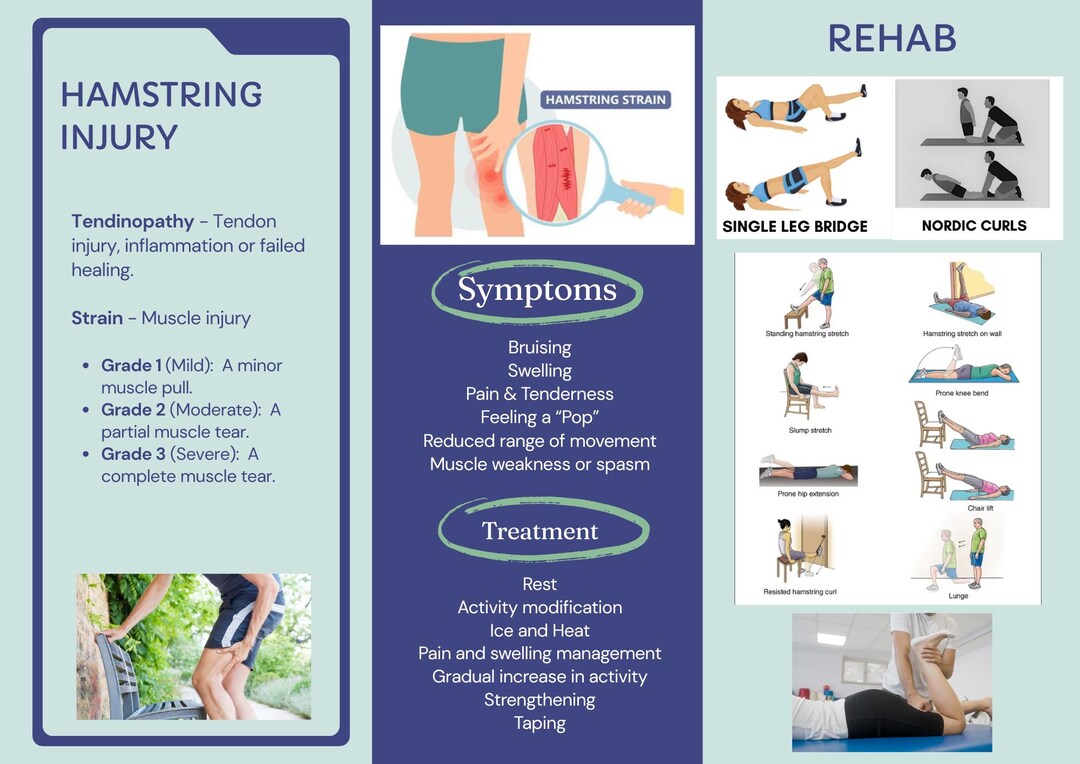 Hamstring Injury Rehab Guide for Rugby - Printable Leaflet (PDF ...