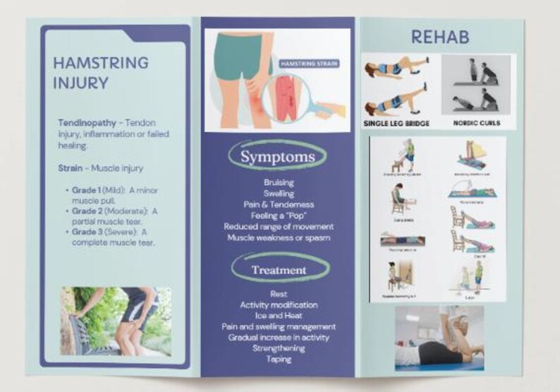 Hamstring Injury Rehab Guide for Rugby - Printable Leaflet (PDF ...