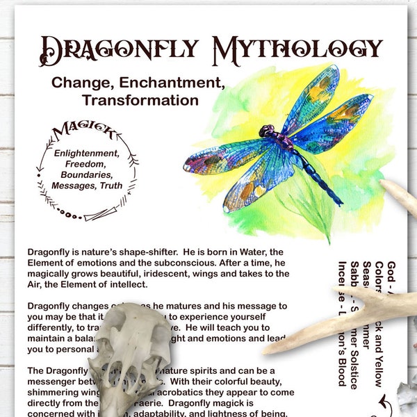 Dragonfly Fairy - Etsy