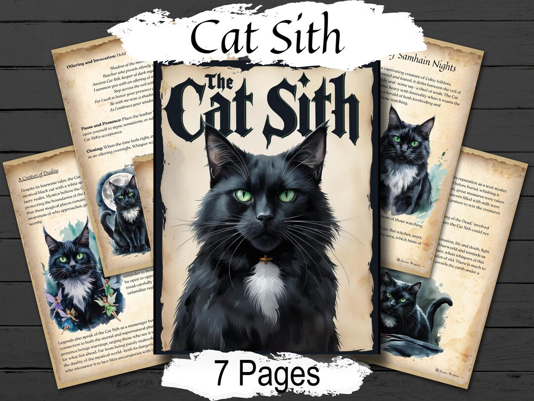 The Cat Sith: A Halloween Fairy Cat Inspired by Celtic Samhain Legends ...